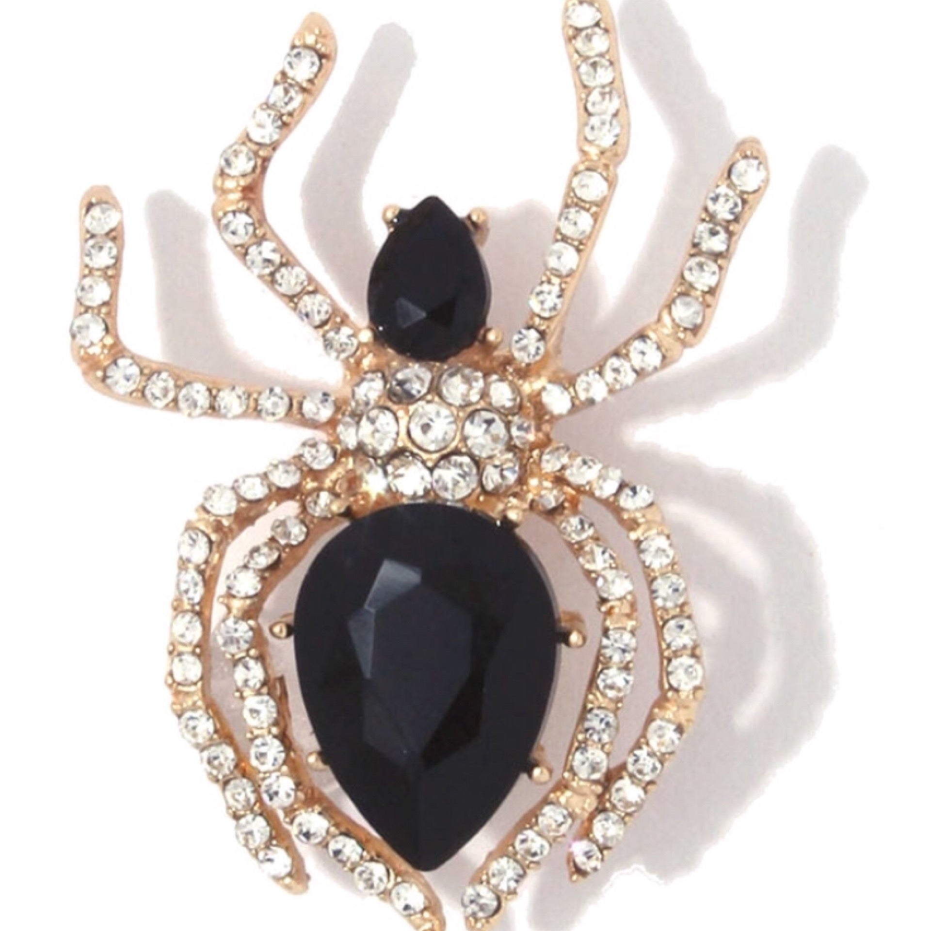 DMH Exclusives Women's Accessories